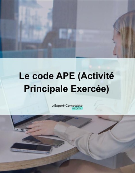 Le code APE (Activité Principale Exercée)