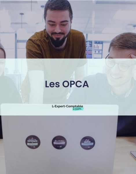 OPCA : Tout savoir sur les Organismes Paritaires Collecteurs Agréés
