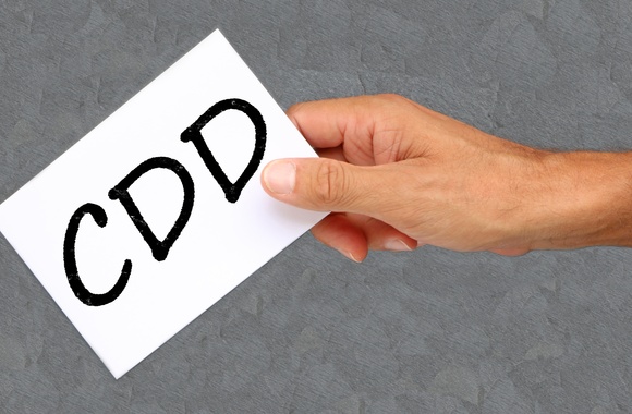 Contrat à durée indéterminée (CDI)
