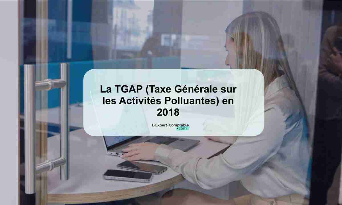 La TGAP (Taxe Générale sur les Activités Polluantes) en 2025