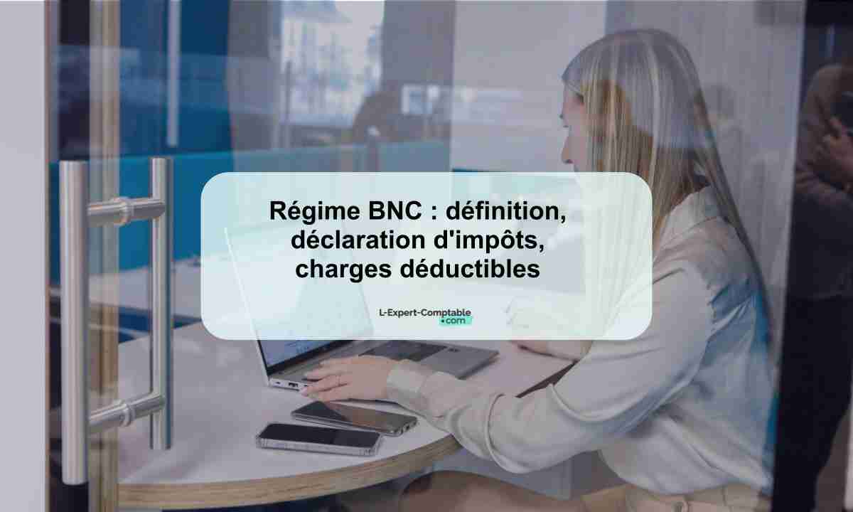 Régime BNC : définition, déclaration d'impôts, charges déductibles