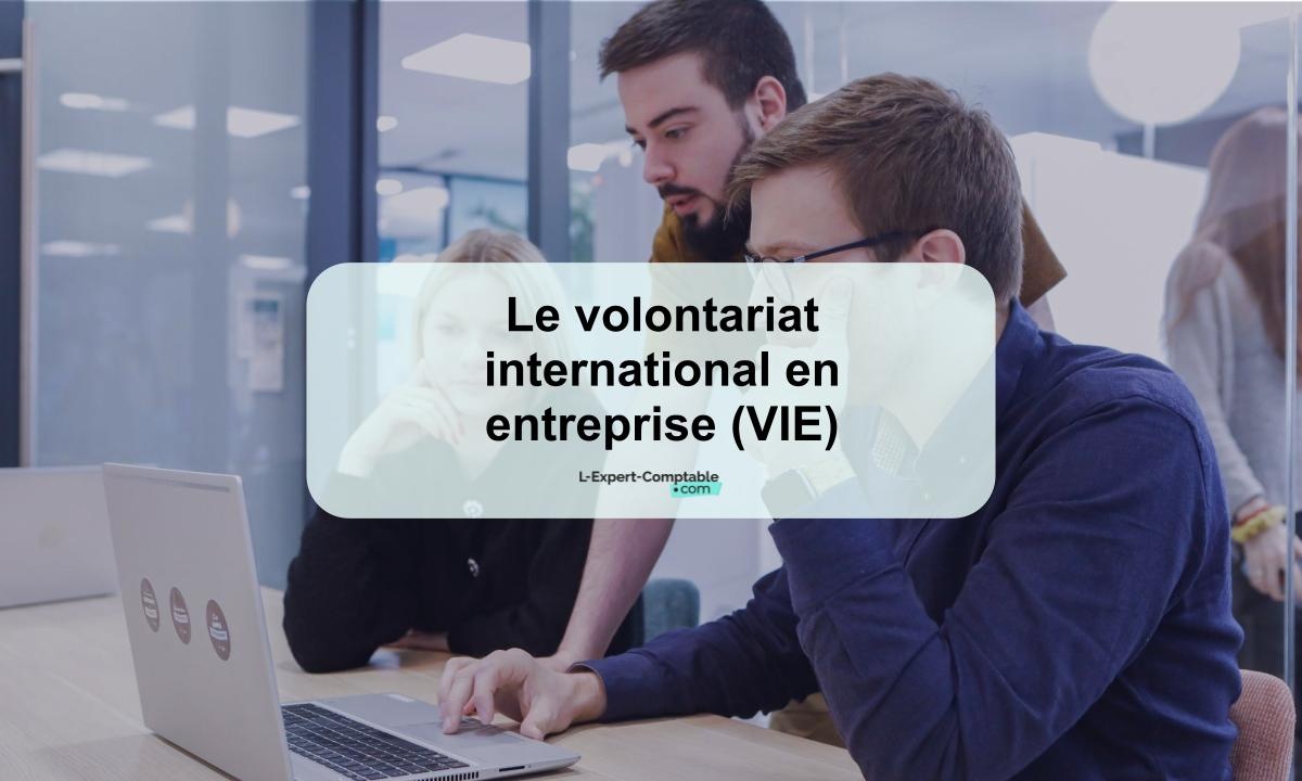 Le volontariat international en entreprise (VIE)