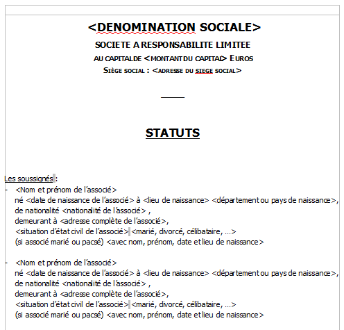 Modèle de statut de SARL